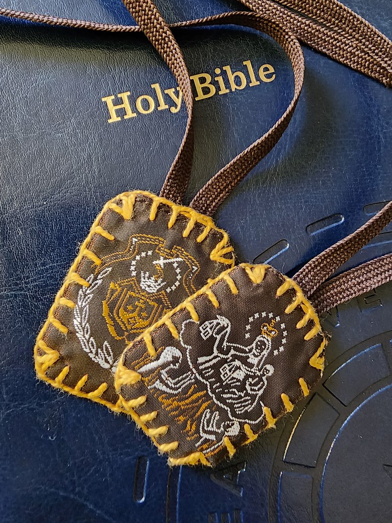 Wrapped in Mary’s Grace: The Brown Scapular | Blessed in the Midwest