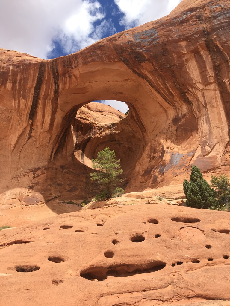 Lenten Offerings | Blessed in the Midwest